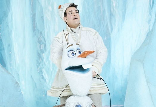 Frozen Education | Puppets